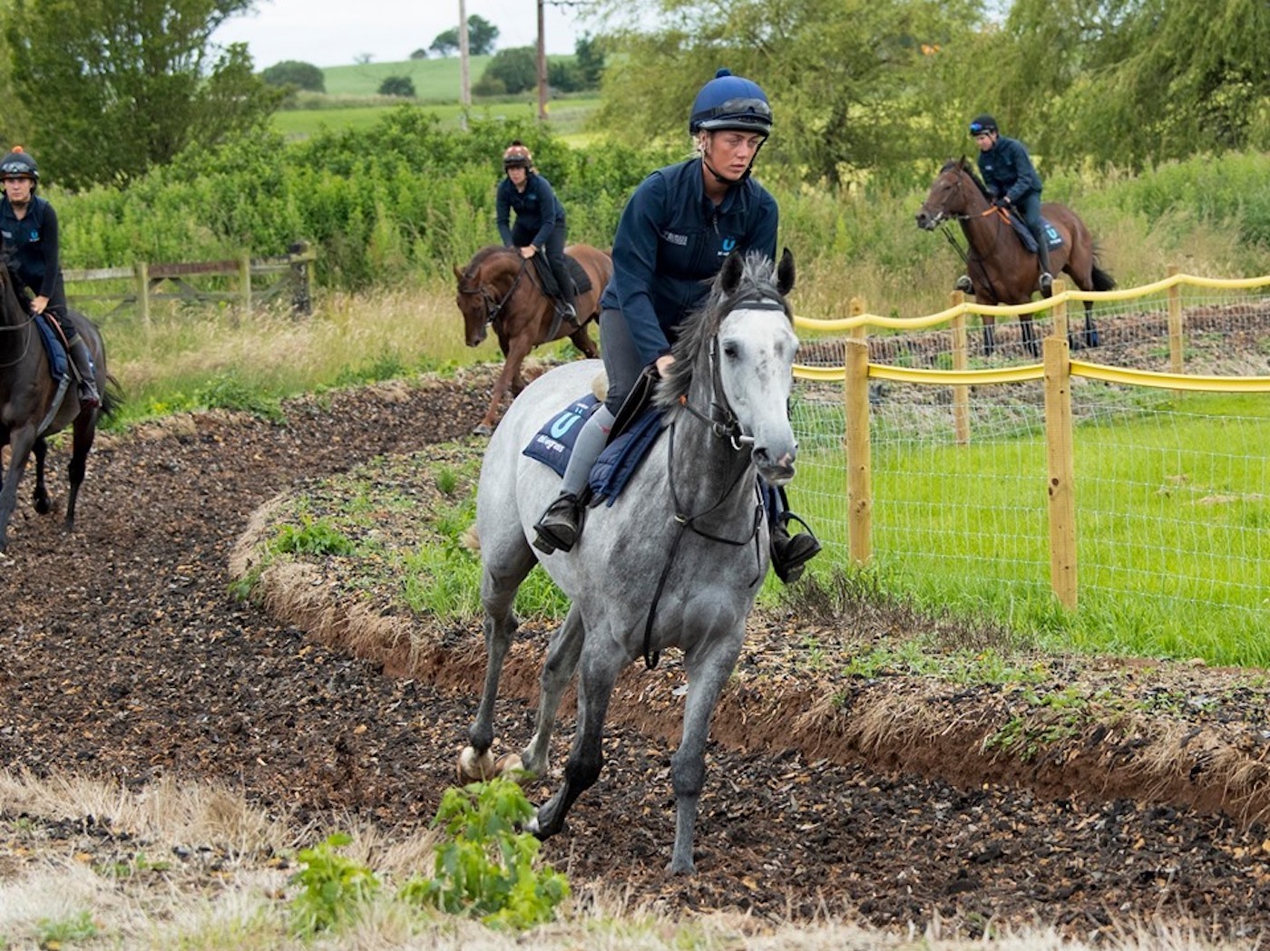 New racing syndicate in aid of stable staff affected by coronavirus ...