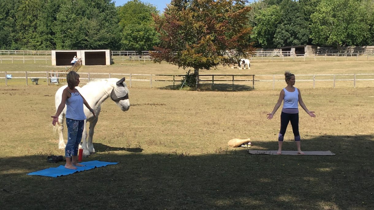 Horses take part in outdoor yoga in novel RDA fundraiser - Horse & Hound