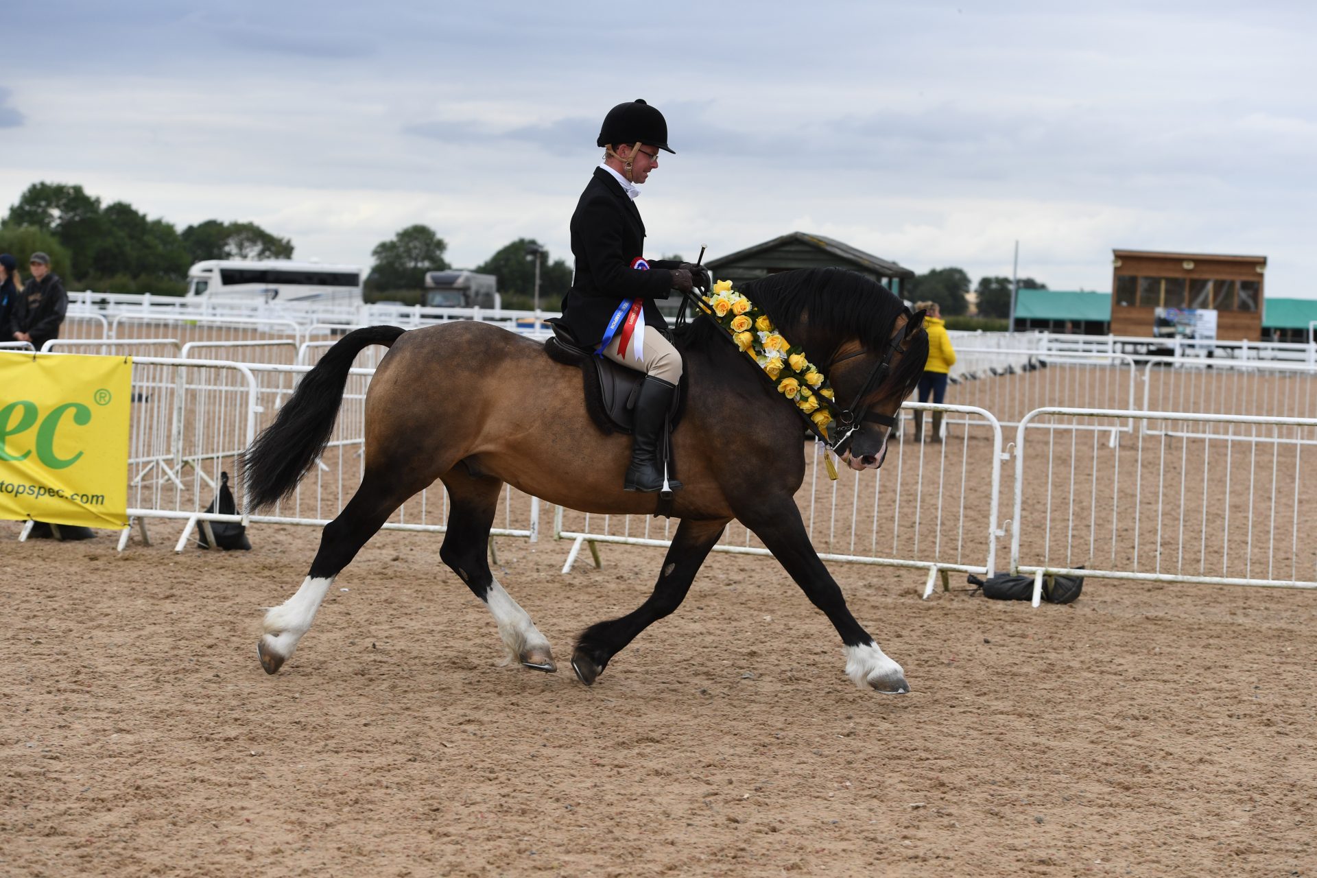 BSPS / British Show Pony Society latest news | Horse & Hound