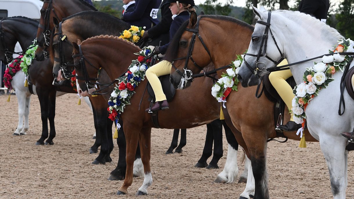 BSPS / British Show Pony Society latest news | Horse & Hound