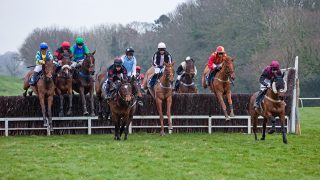 Point-to-point racing: what you need to know to ensure a great day out