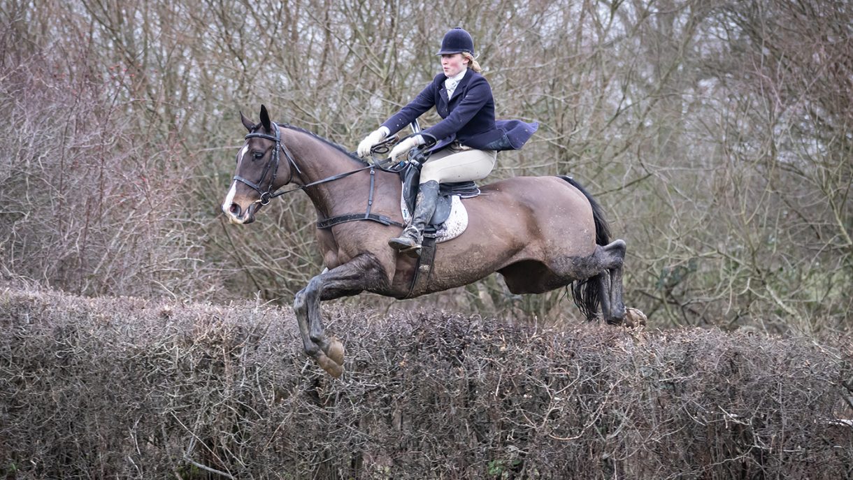 Hunter of a lifetime: ‘Rodeoing nutter’ Kitkat *H&H Plus* - Horse & Hound