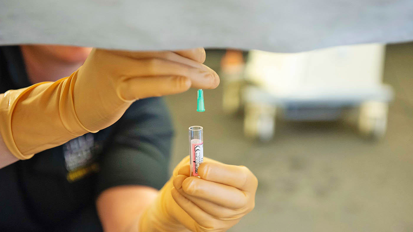 Peritonitis in horses: understanding the dangers | Horse & Hound