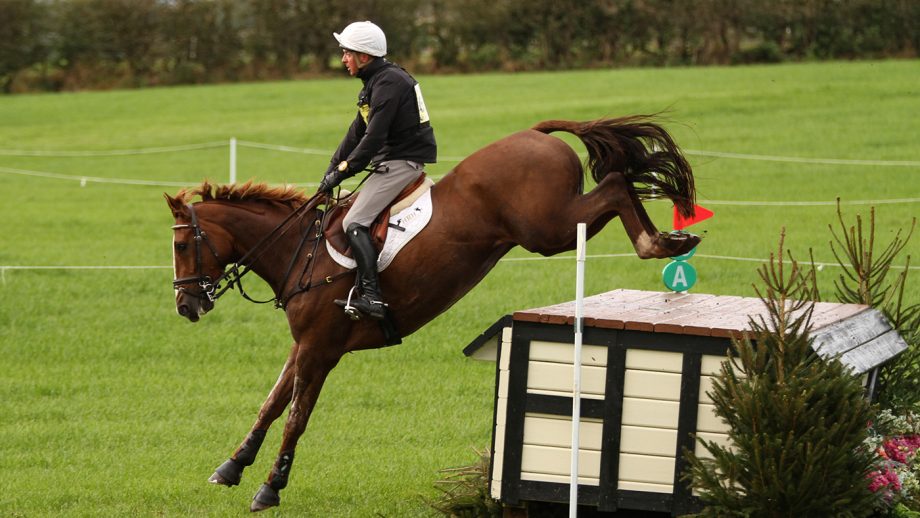 British horses for young horse championships at Le Lion d’Angers 2020