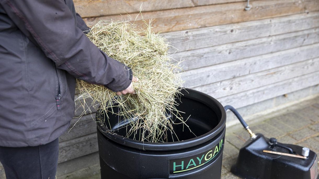 Haygain HG One steamer review | Horse & Hound