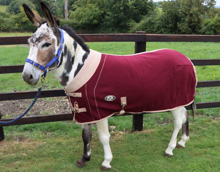 Ruggles Horse Rugs - Horse & Hound