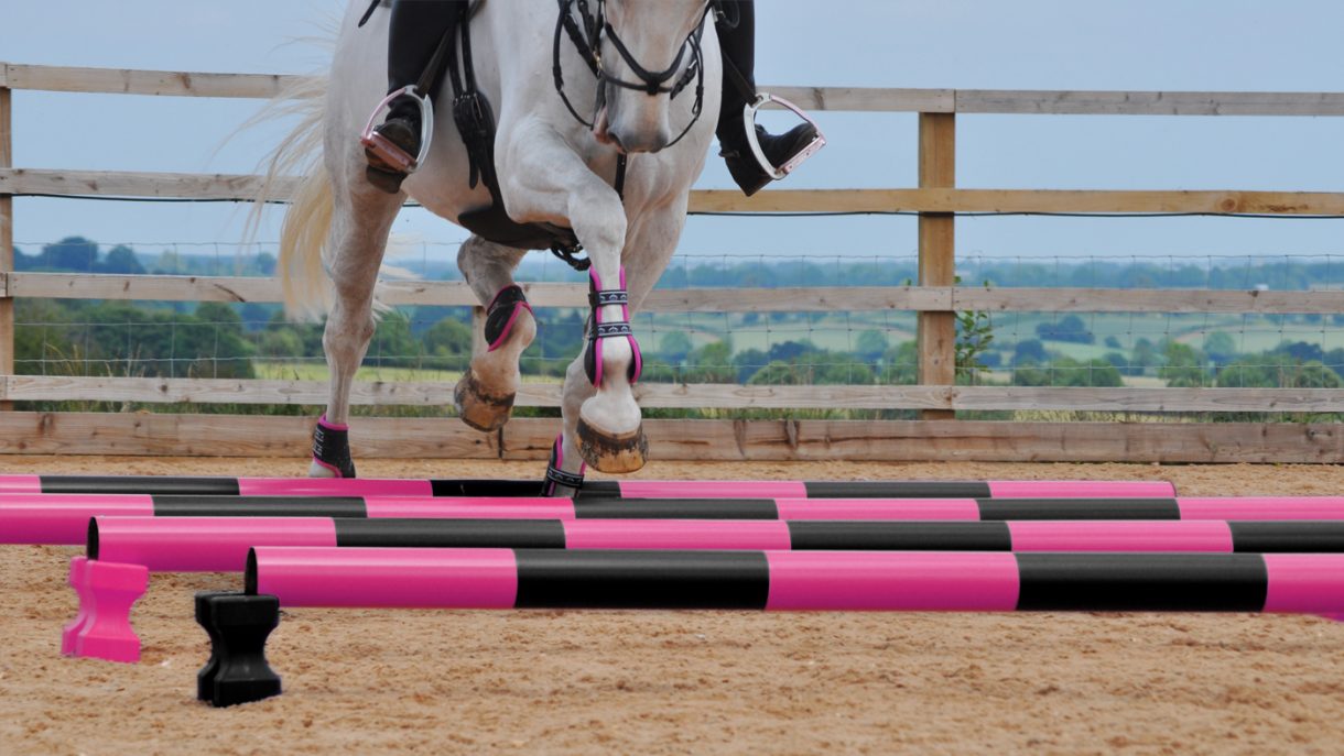 PolyJumps - Horse & Hound