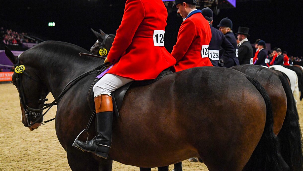 Pretty Polly – the legandary show pony who has left an extensive legacy