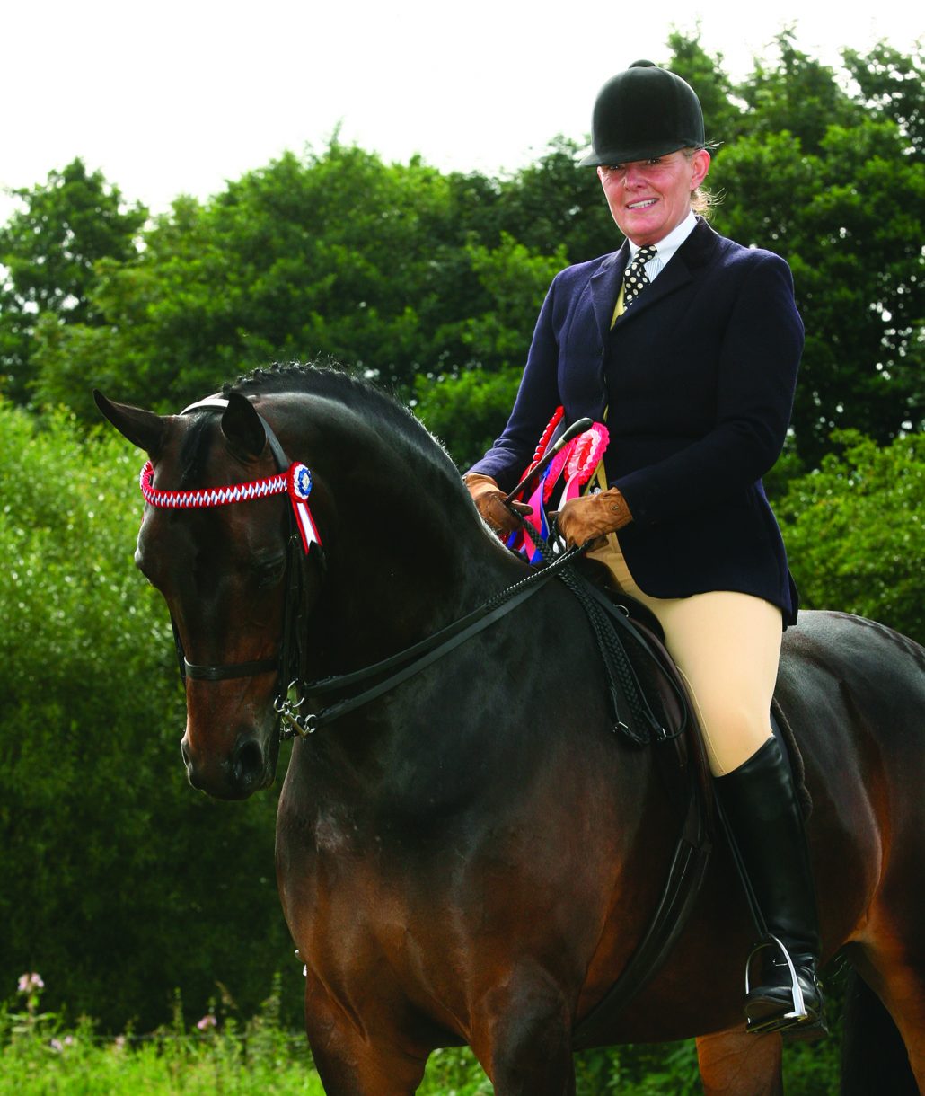 5 minutes with: Show horse producer Anne Leaver *H&H Plus* - Horse & Hound