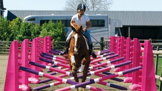 PolyJumps - Horse & Hound