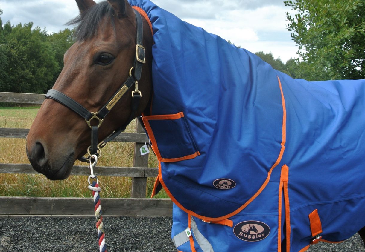 Ruggles Horse Rugs - Horse & Hound