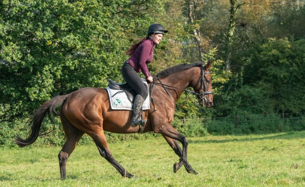 £1,000 up for grabs in new RoR showjumping championship - Horse & Hound