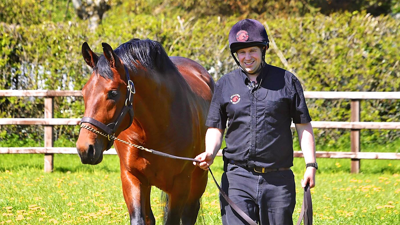 All in a day’s work: The semen collector *H&H Plus* - Horse & Hound