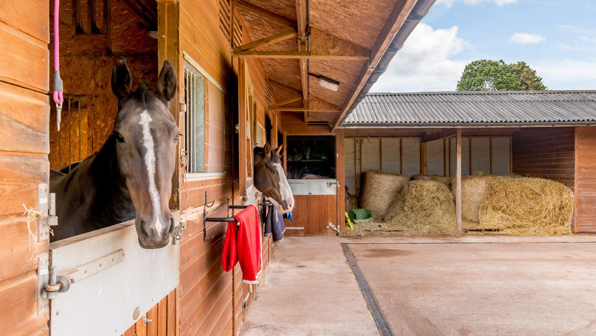 Dreaming of a period property? Check out this Grade II-listed farmhouse ...