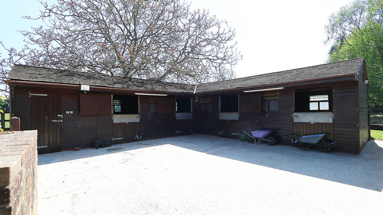 A perfect family idyll: Five-bedroom country house with stables and ...