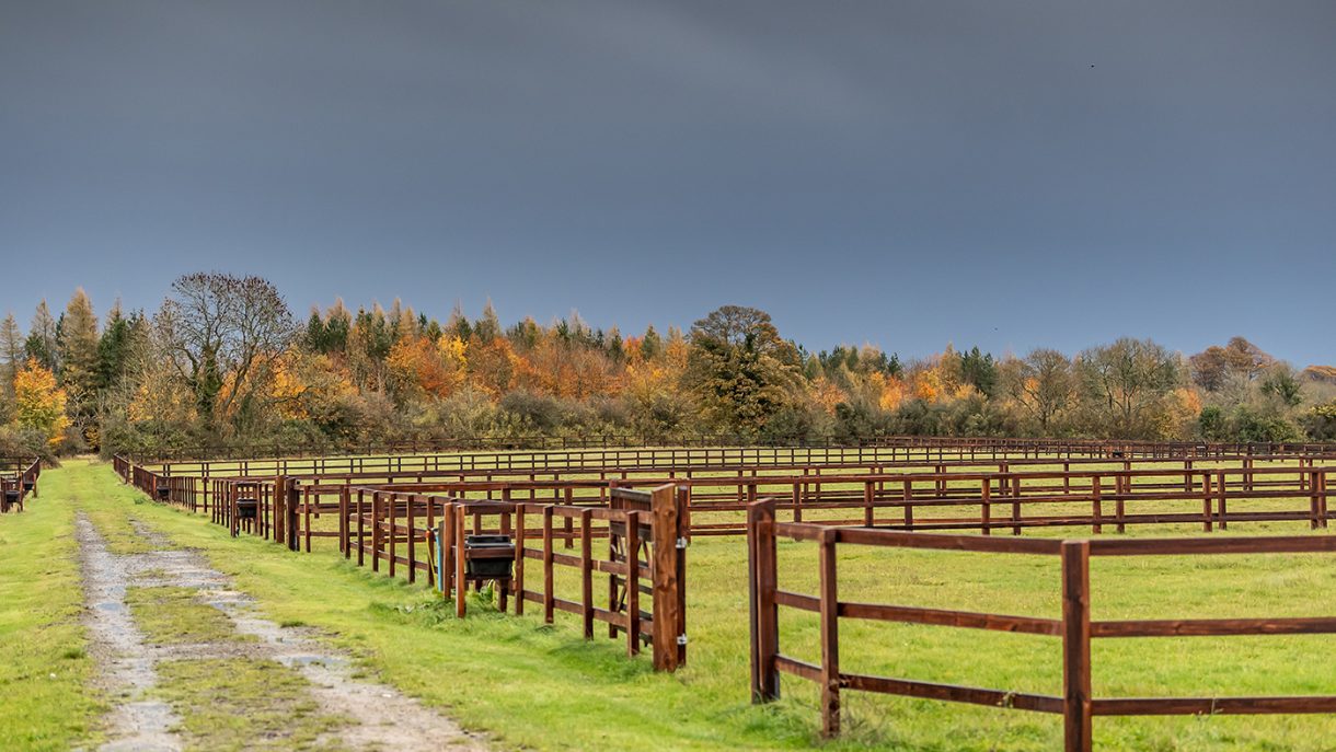 Check out Olympian Spencer Wilton's stunning new stable yard