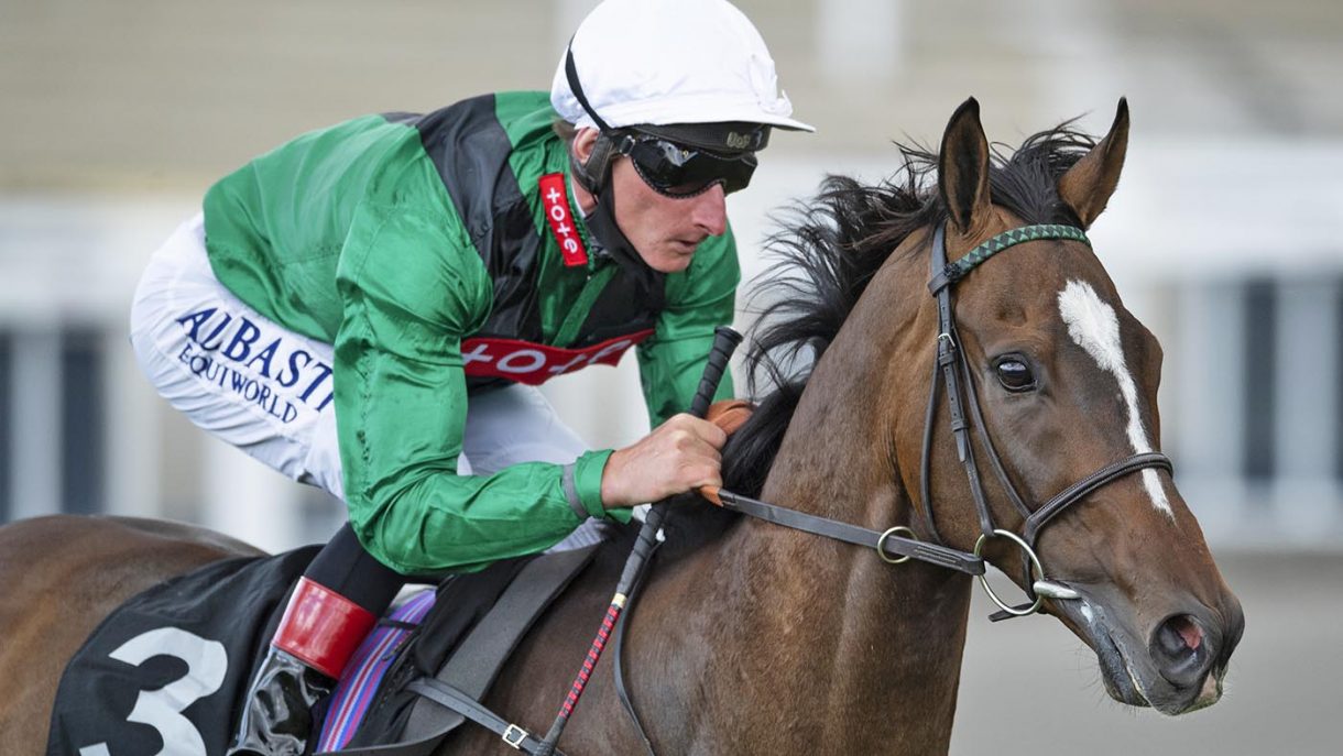 Retraining of Racehorses - Horse & Hound