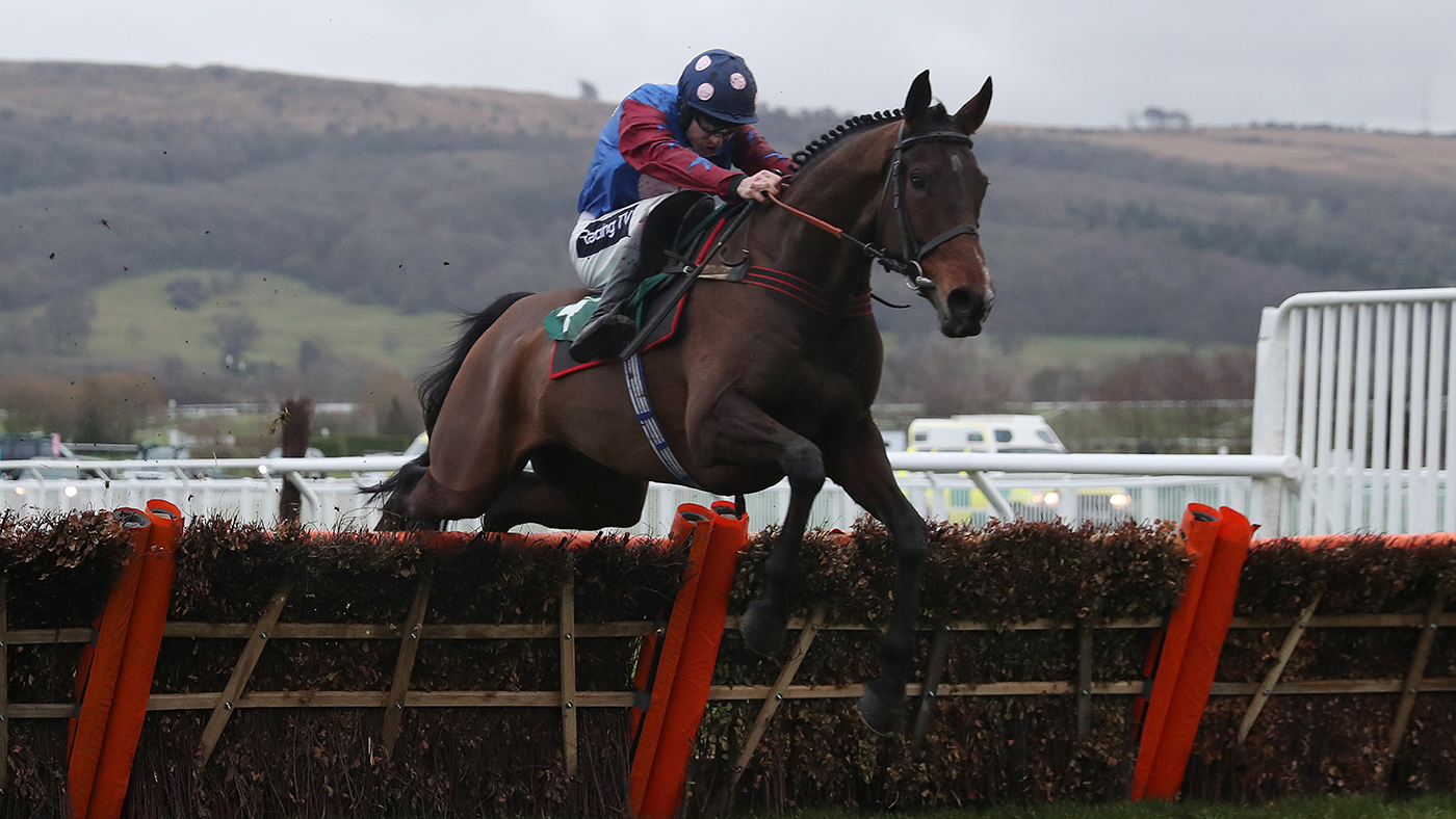 National Hunt horses to follow – 2020/21 jumps season | Horse & Hound