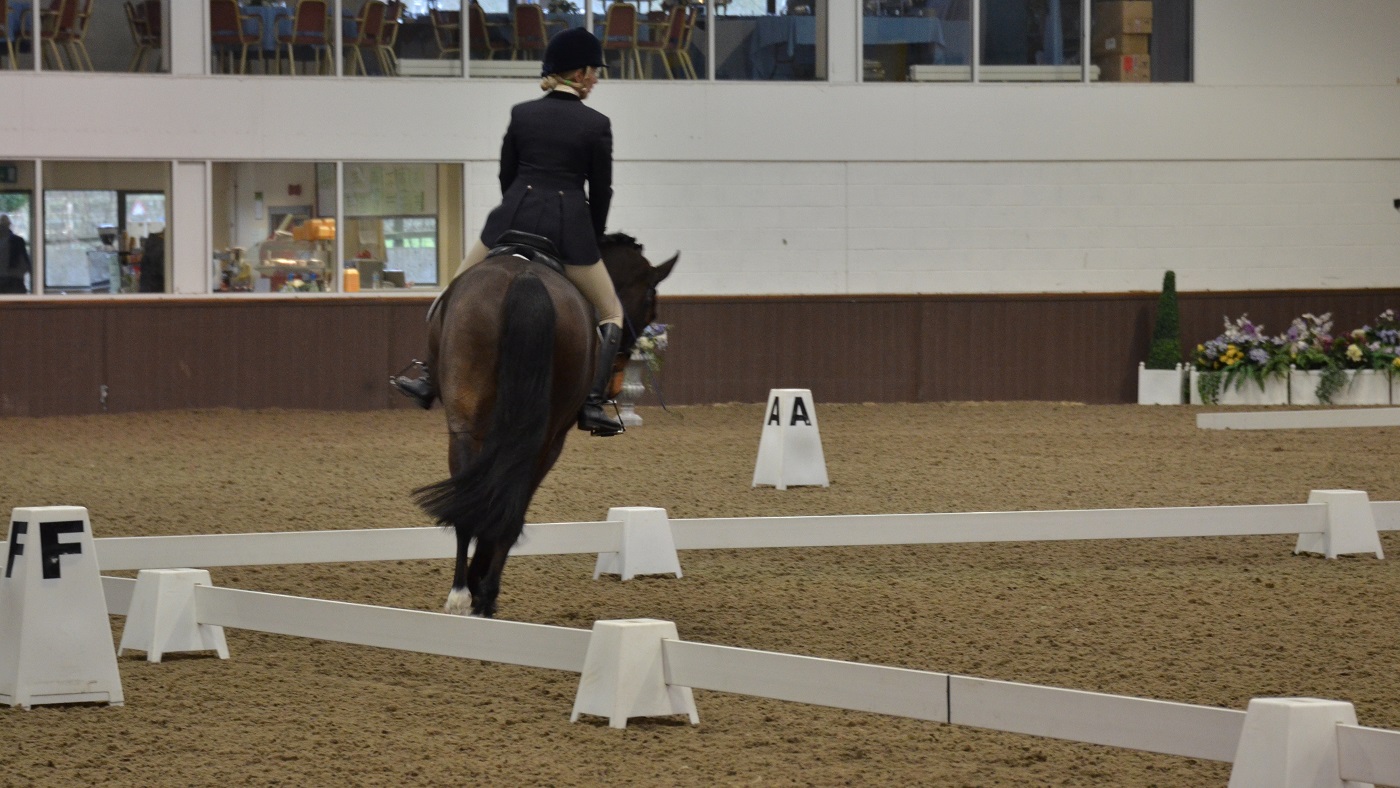 20-minute weekly workout: how to avoid cutting corners in a dressage ...