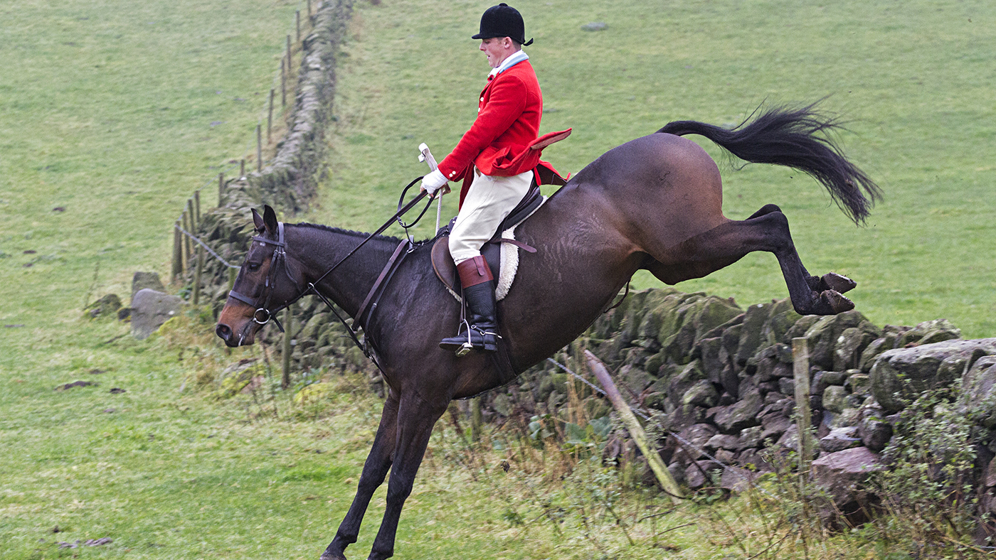 Learning to ride to follow hounds – four hunting fans share their ...
