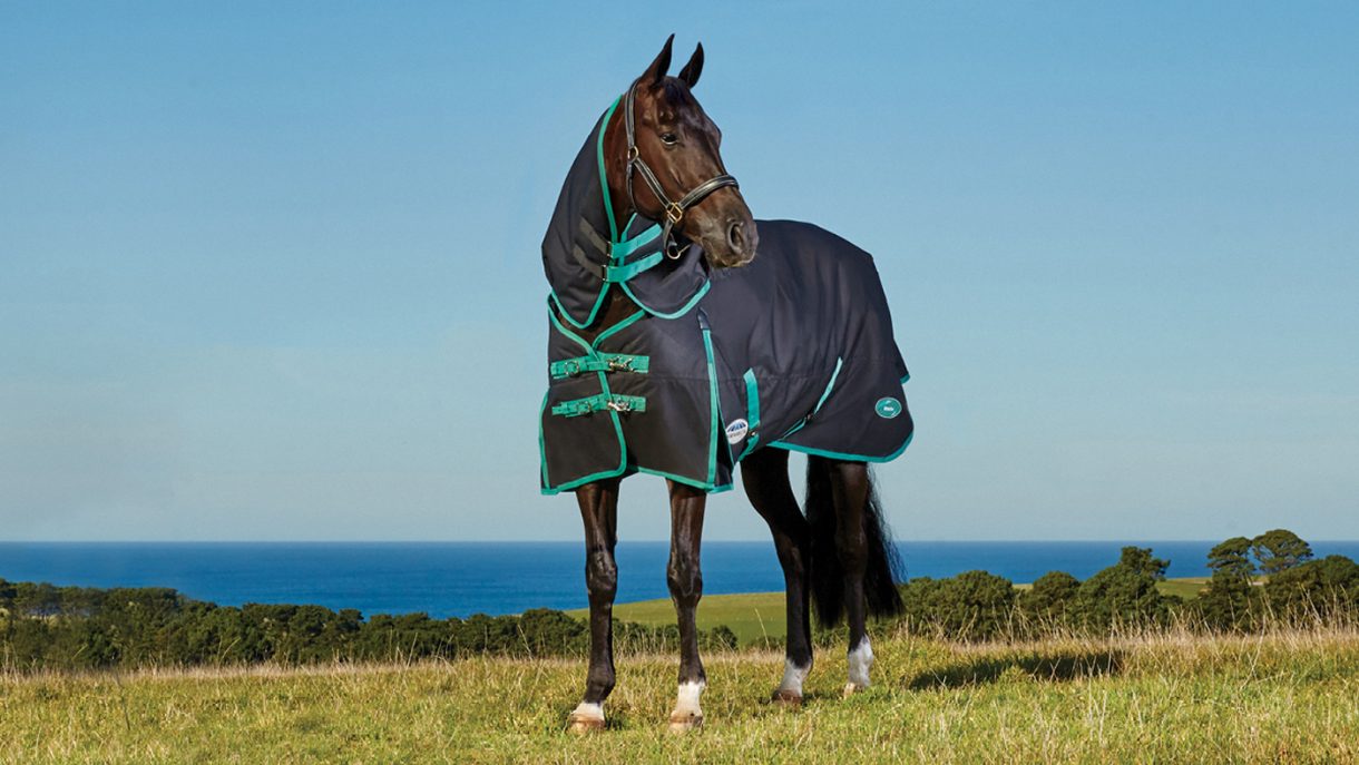 StormX Original 50 Combi turnout rug review | Horse & Hound