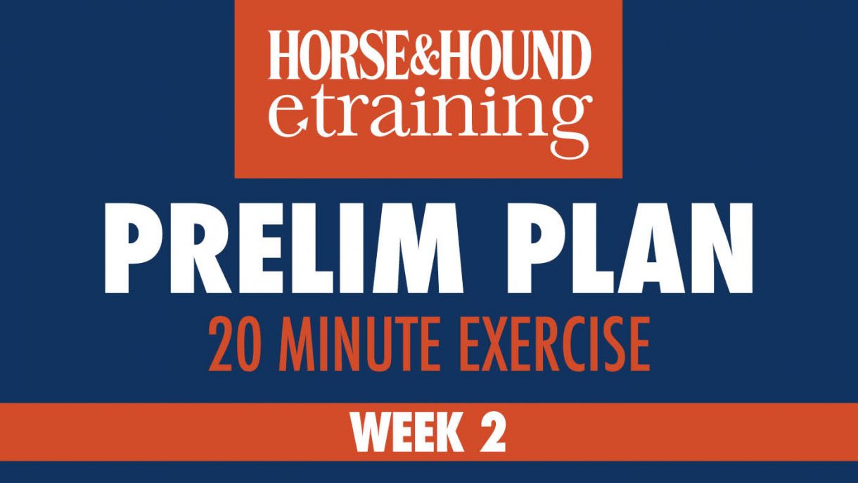 How to ride the perfect halt and perfecting prelim 7 - Horse & Hound