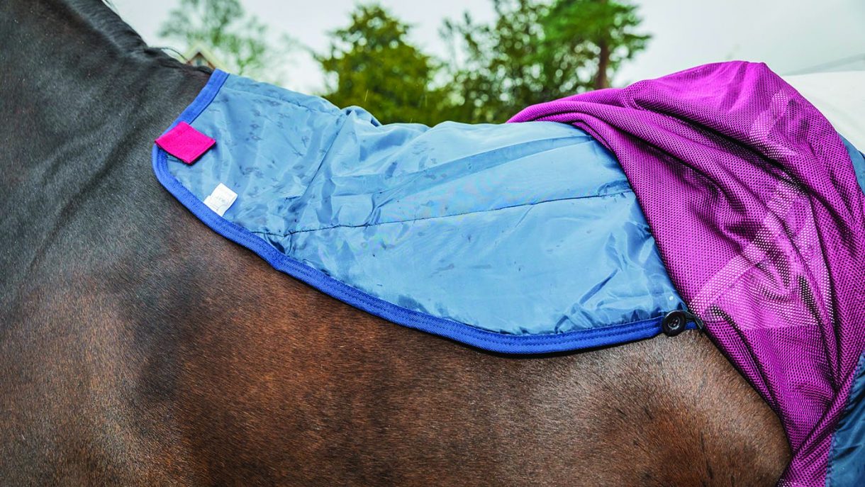 Horseware Rambo Summer Series review | Horse & Hound
