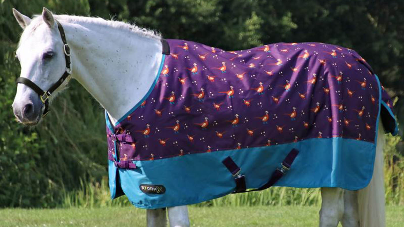 Patterned horse rugs to feast your eyes on | Horse & Hound