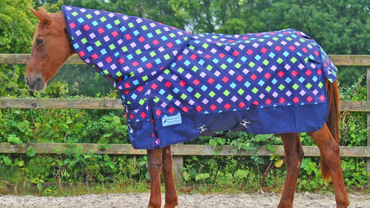 Patterned horse rugs to feast your eyes on | Horse & Hound