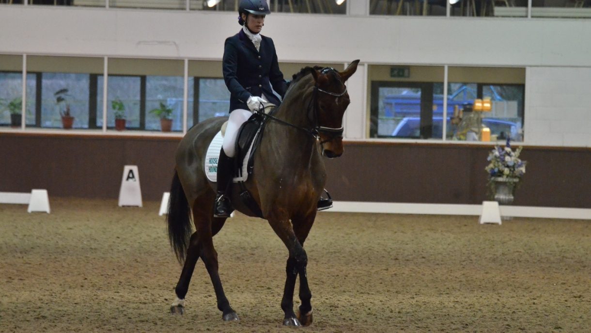 How to prevent your horse from jogging in a dressage test - Horse & Hound