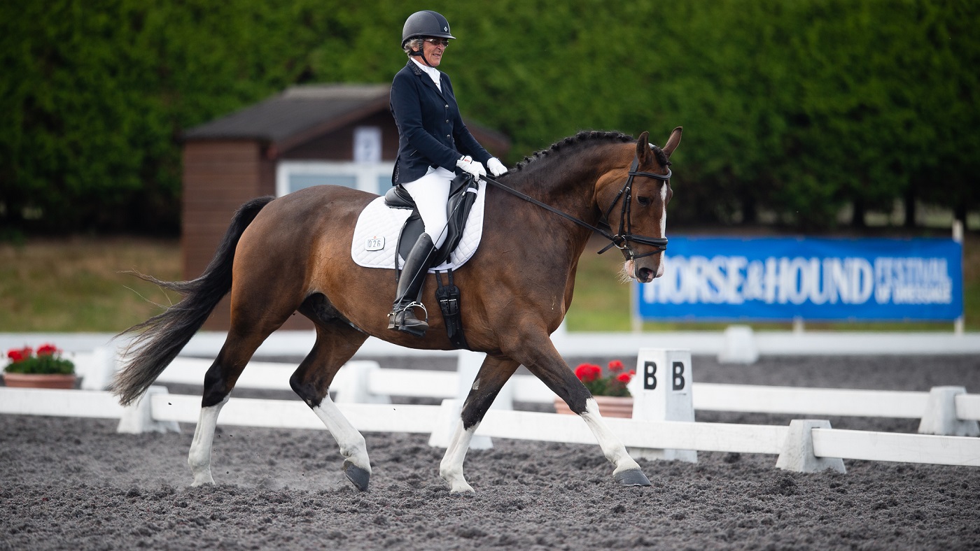 How to master sitting trot - Horse & Hound