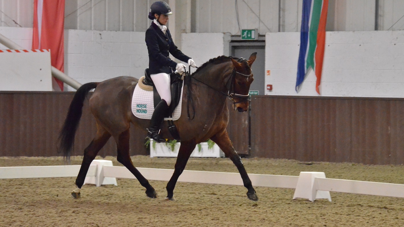 How to get your horse on the bit – useful tips for all riders | Horse ...