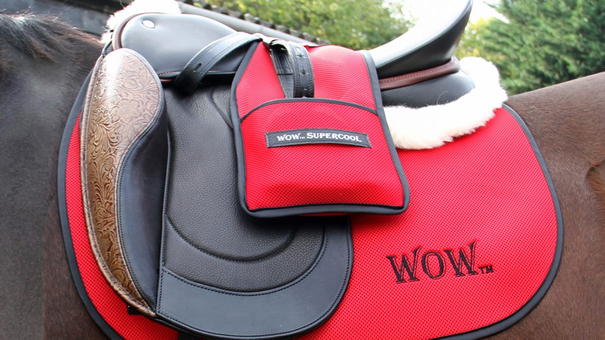 Horsey Christmas gifts for the person who has everything | Horse & Hound