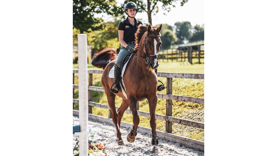 Collected canter: top tips to help your horse develop | Horse & Hound