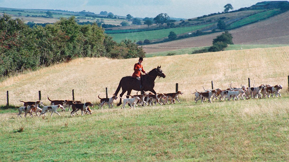 Pytchley huntsman to move packs after 10 years: ‘I am looking for a new ...