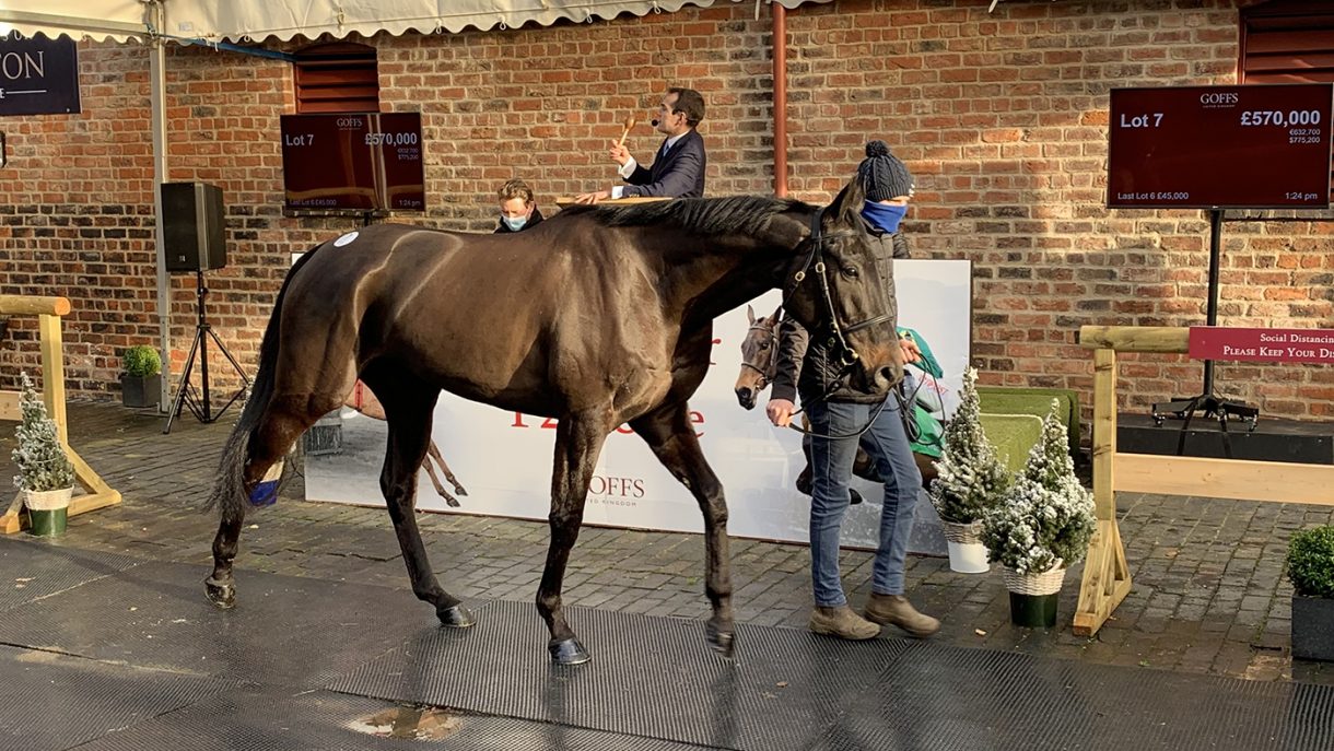 All in a day’s work: racing commentator Richard Hoiles *H&H Plus ...