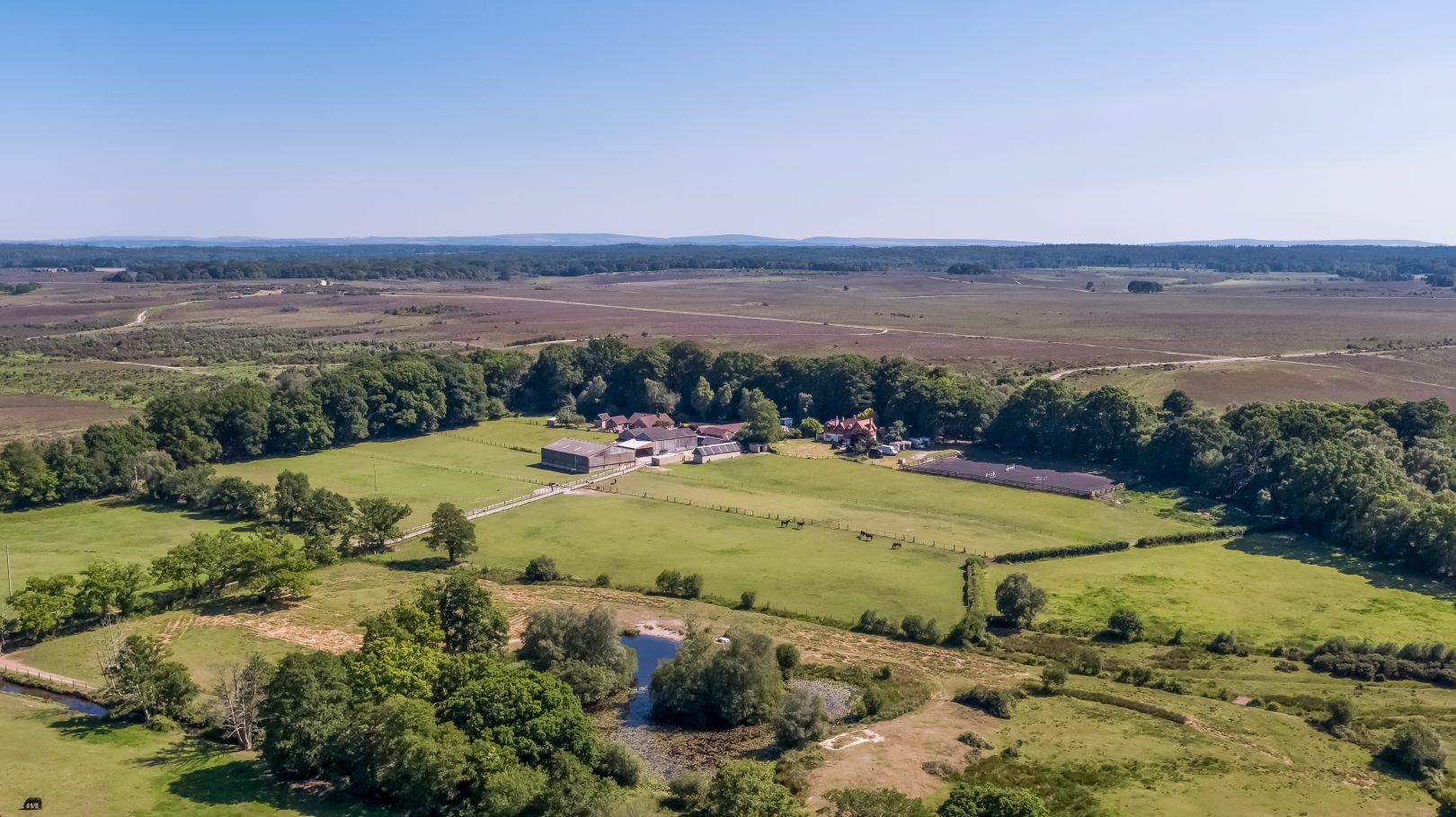 Live on the edge of the New Forest, with 24 stables, manège and 34 ...