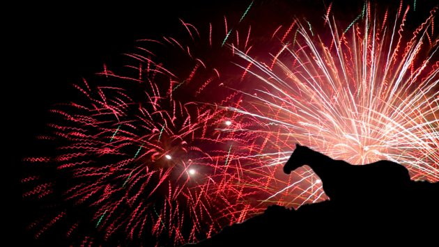 William Fox-Pitt’s Oslo, a showjumping legend, and other things the ...