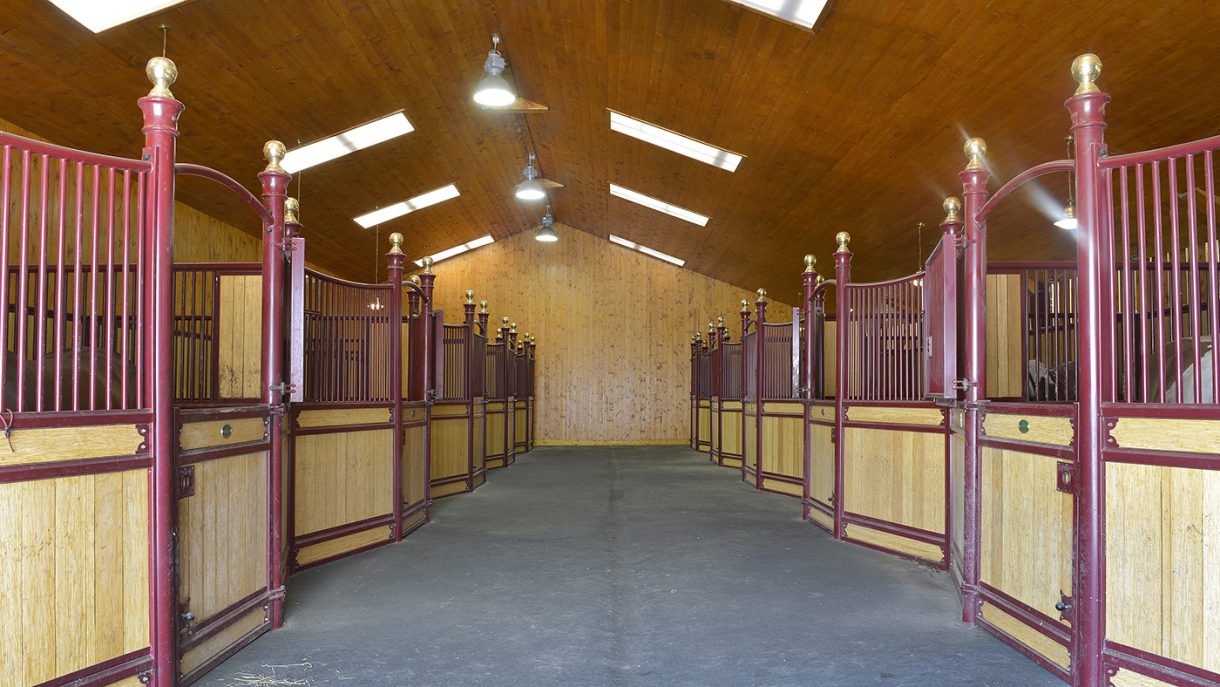 Would your horses like living here? 13 stables, an indoor and outdoor ...