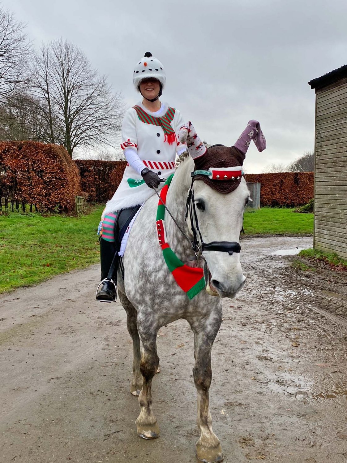 Get into the festive spirit! 13 Christmas fancy dress ideas for riders ...