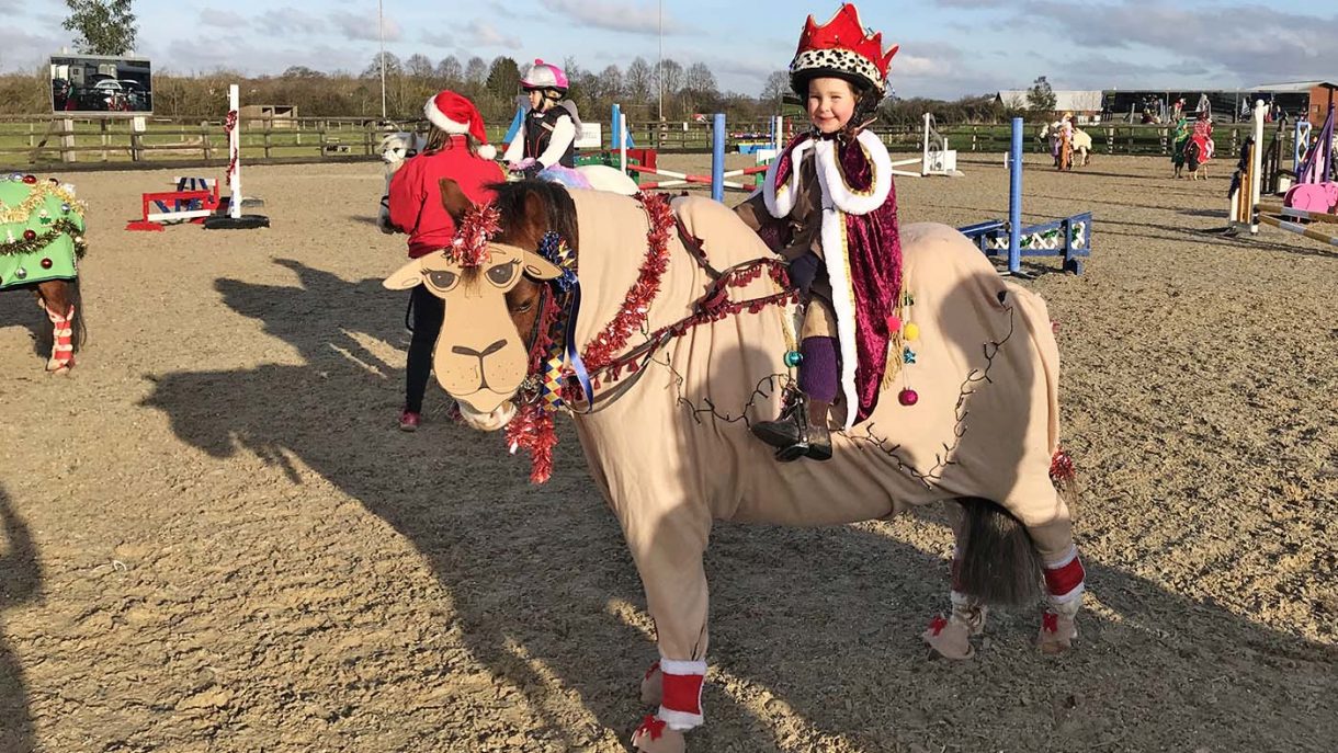 Get into the festive spirit! 13 Christmas fancy dress ideas for riders ...