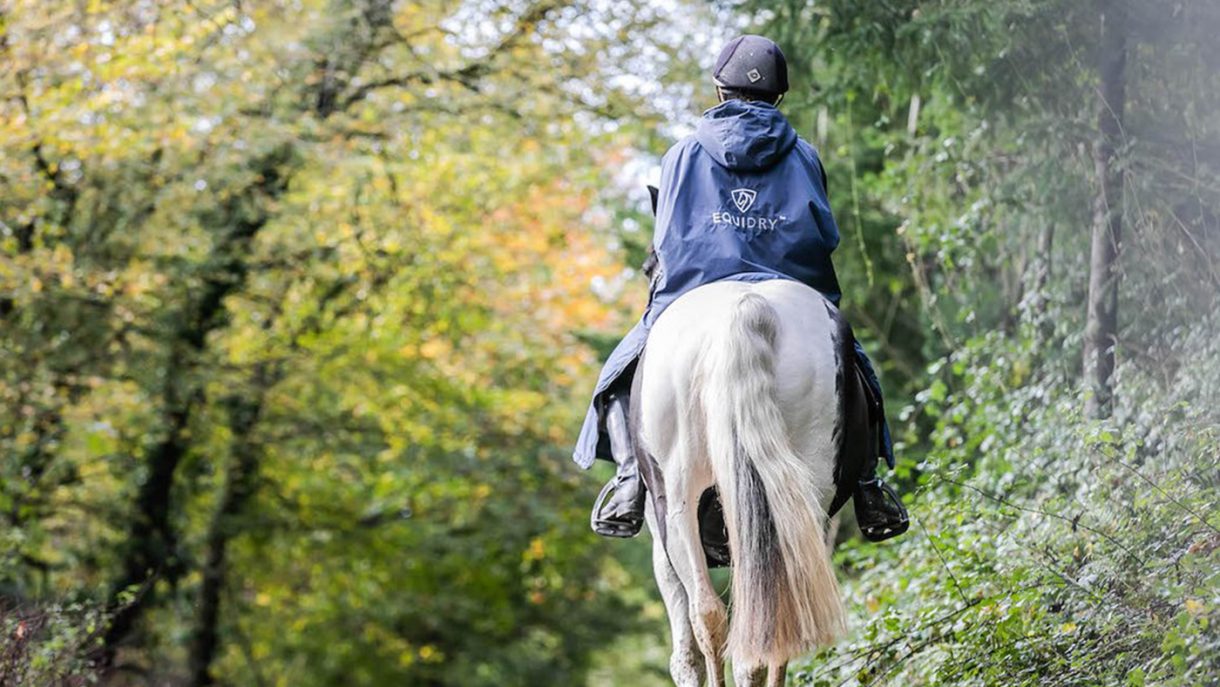 Best winter riding gloves in a range of styles | Horse & Hound