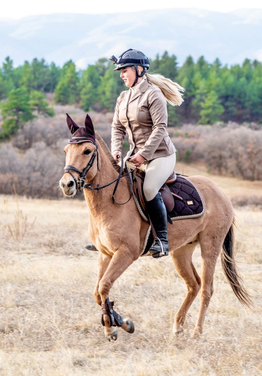 Delight as US rule change means all systems go for showjumping mules ...