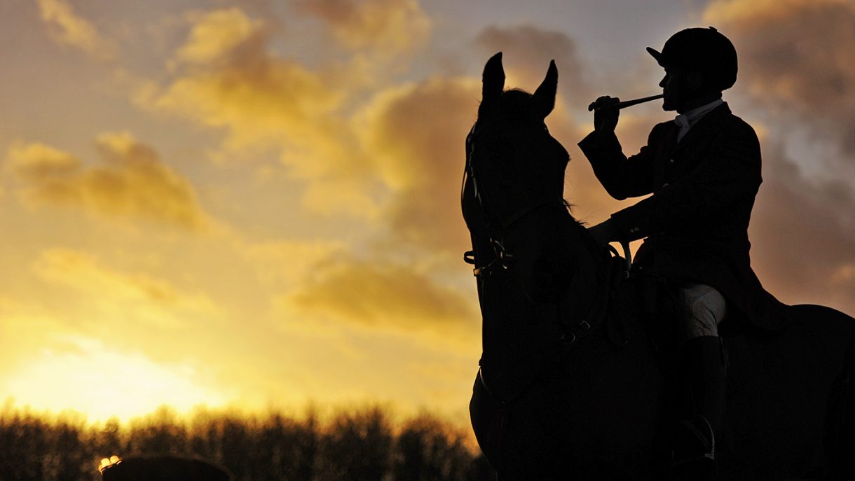 ‘This is our fight’: rallying call as Government pushes on towards ...