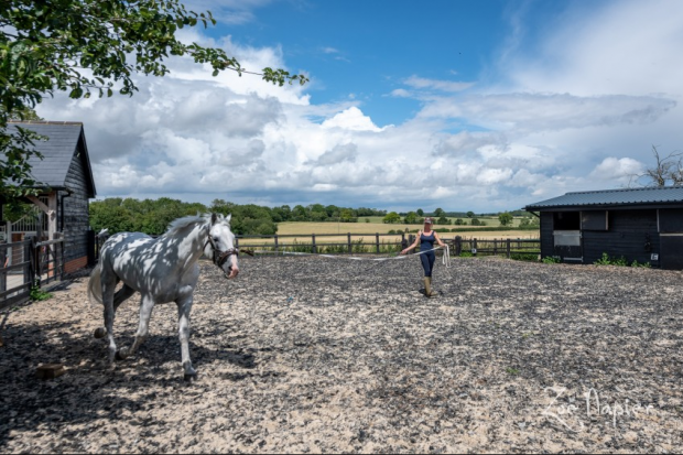 A splendid home in a rural area complete with 5 stables, arena and ...