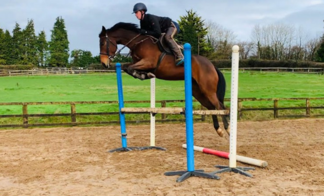 Don’t want to miss out on anything? These brilliant all-rounders could ...