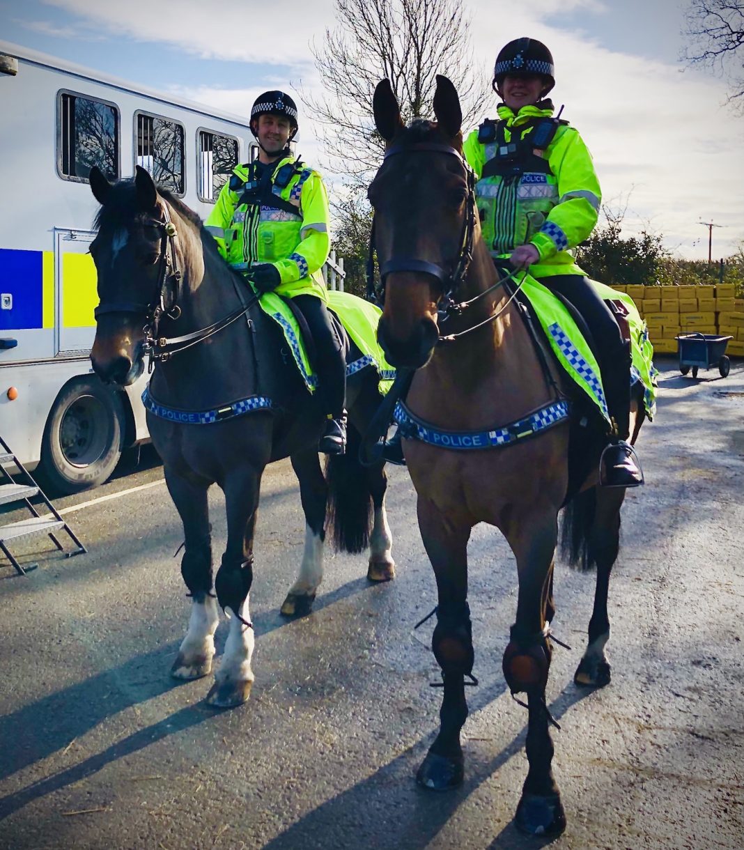 Police horses equipped with front and rear cameras to nab errant ...