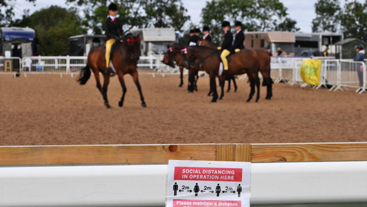 Societies join forces to promote British Riding Pony - Horse & Hound