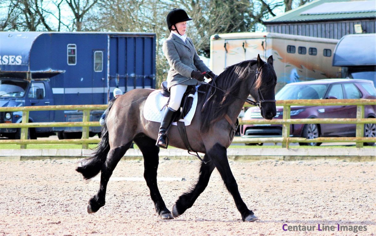 65-year-old rider hopes her dressage success shows what can be achieved ...