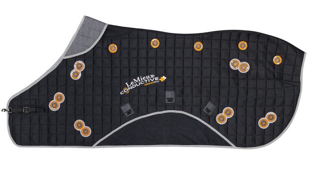 Best magnetic rugs for horses and more | Horse & Hound